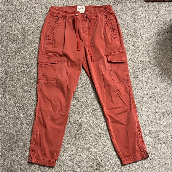 Sanctuary | Pants & Jumpsuits | Womens Rust Cargo Pants | Poshmark